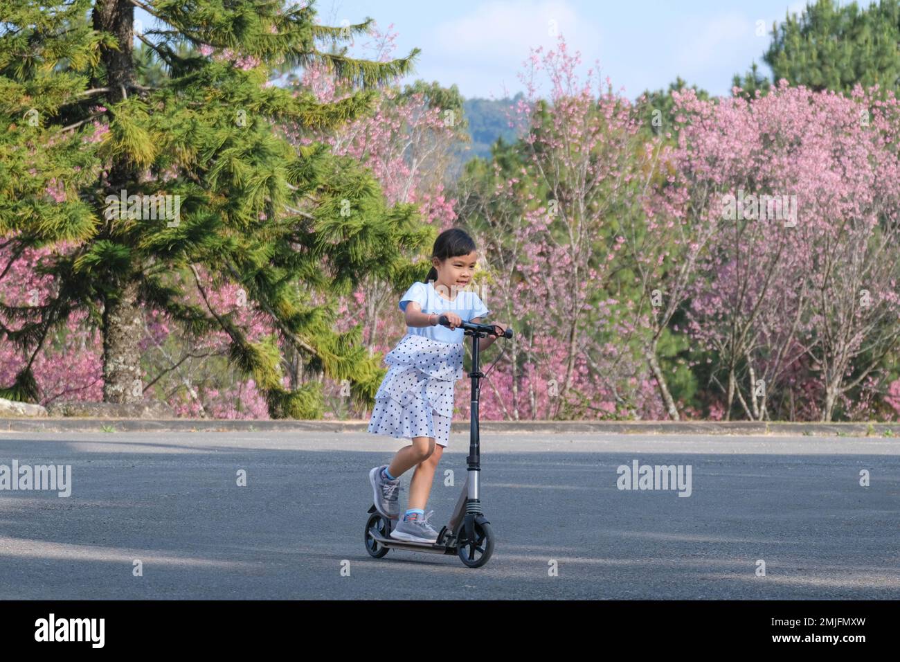 Cute little girl riding scooter on street in outdoor park on summer day ...