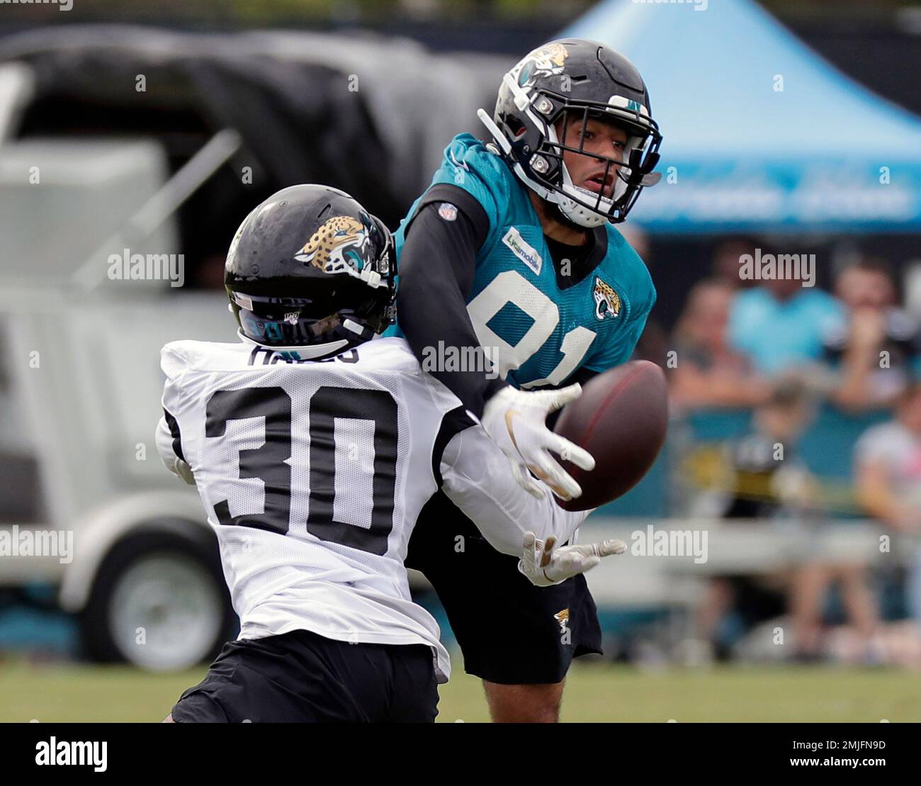Jacksonville Jaguars cornerback Tae Hayes (30) breaks up a pass ...