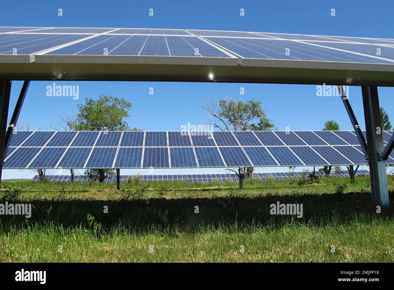 Some of the 1,000 solar panels that are part of a green energy project ...