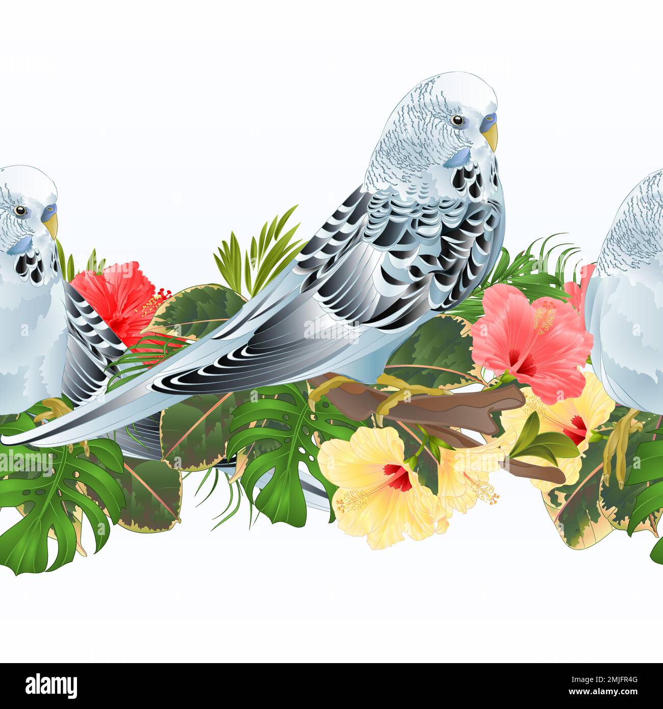 Parakeets birds Stock Vector Images - Alamy
