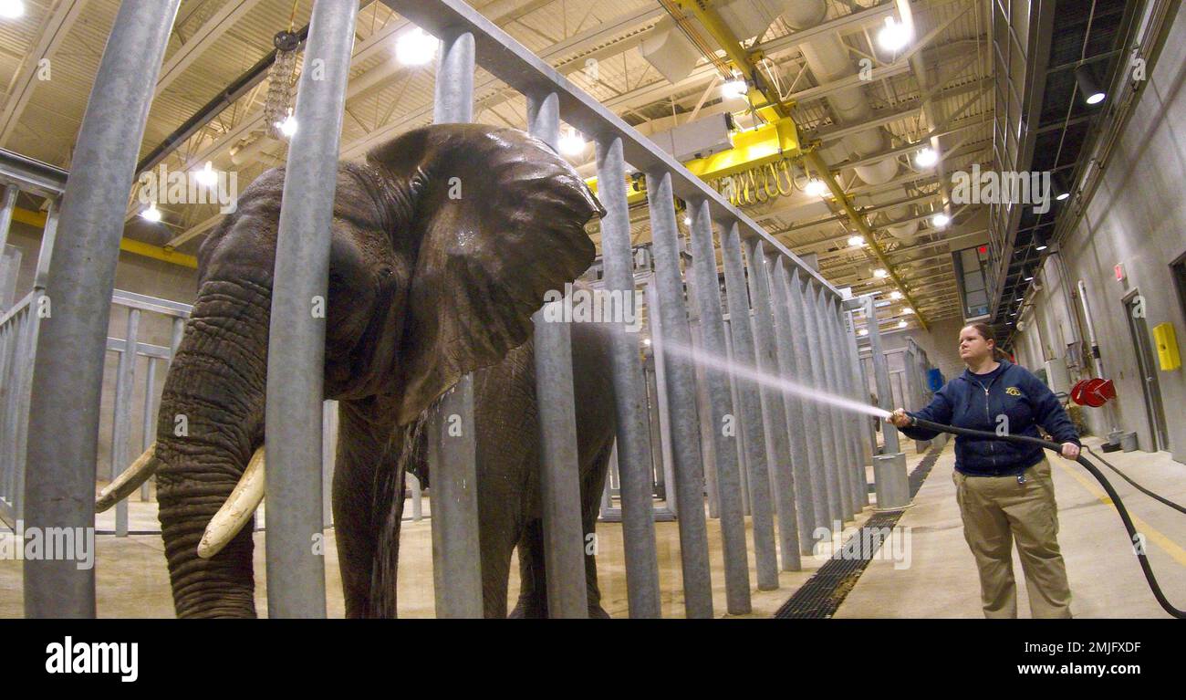 Milwaukee County Zoo Elephants
