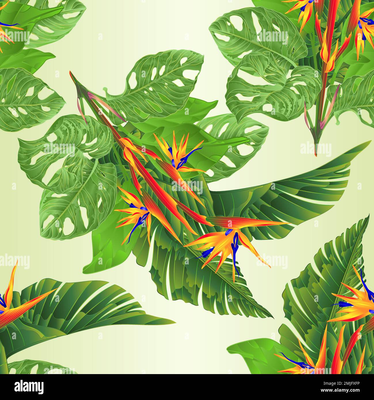 Seamless texture beautiful Strelitzia reginae tropical flowers and ...