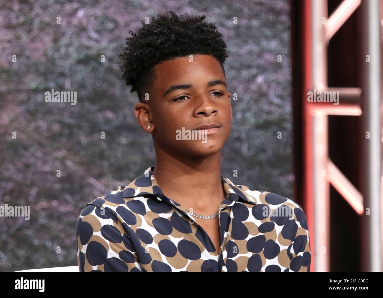 Nathaniel Logan McIntyre participates in OWN's "David Makes Man" panel ...