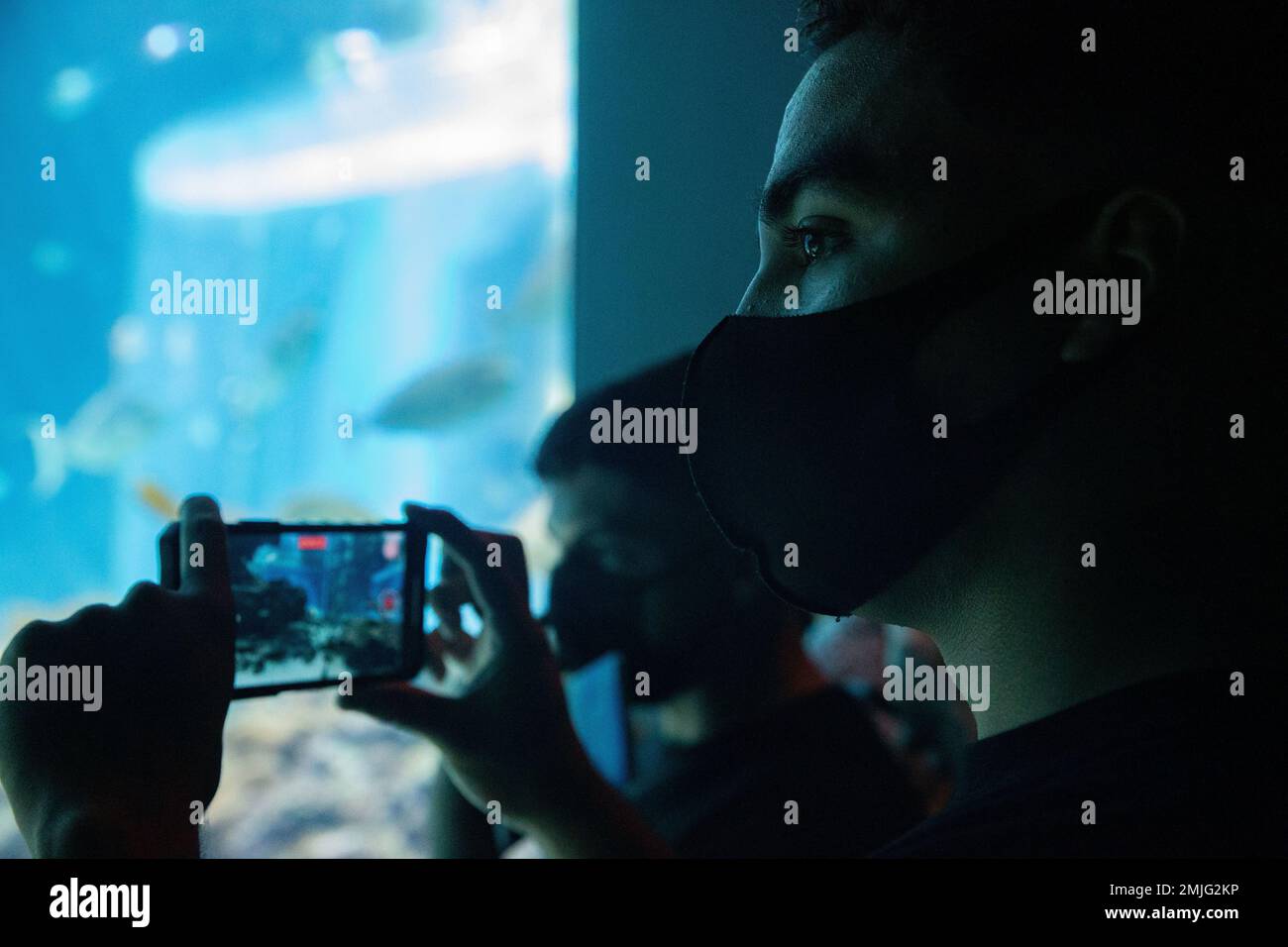 Fish backbone hi-res stock photography and images - Alamy