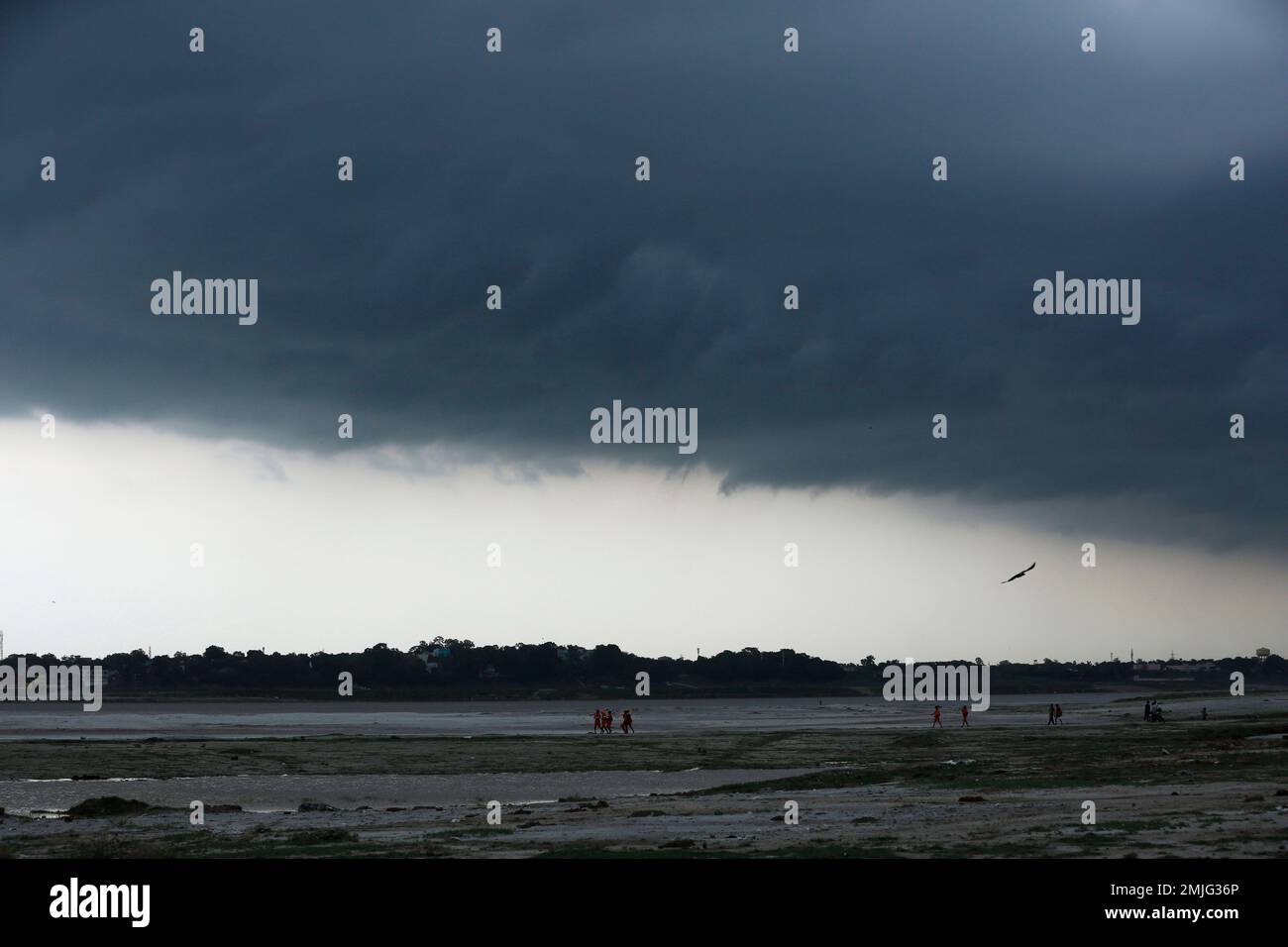 Hindu pilgrims, known as Kanwarias, walk near the banks of the Ganges ...