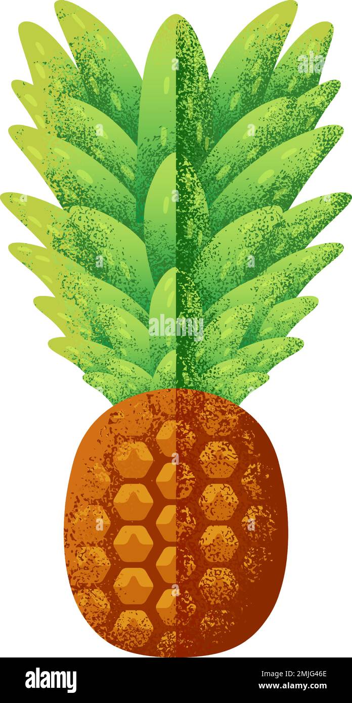Trendy pineapple drawing in textured style. Tropical fruit Stock Vector ...