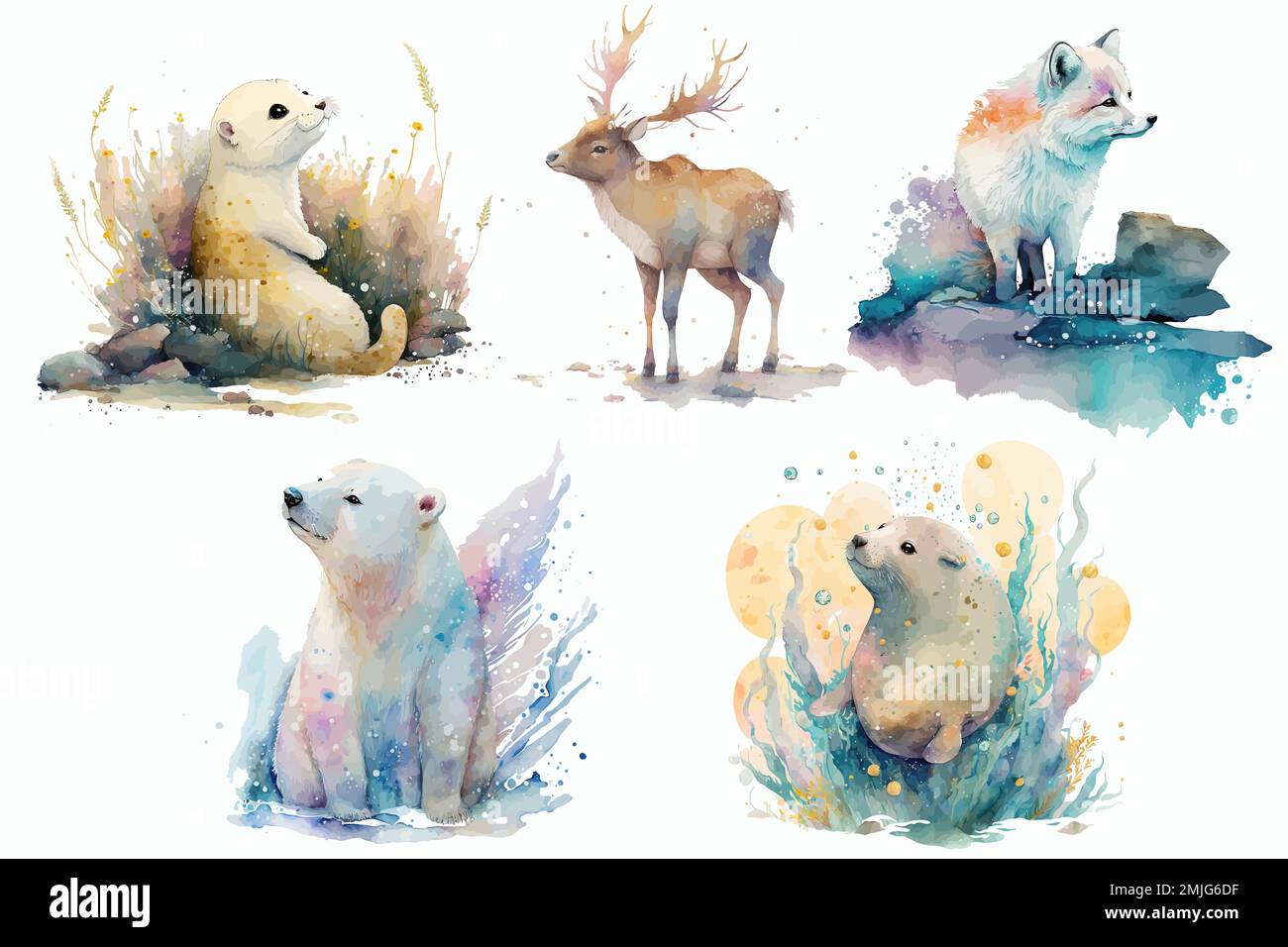 Cute arctic fox Cut Out Stock Images & Pictures - Alamy