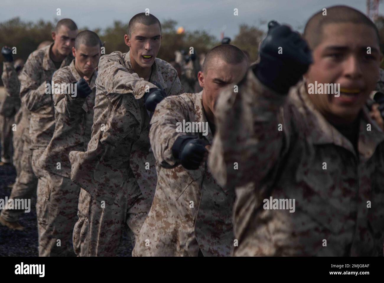 U.S. Marine Corps recruits with Hotel Company, 2nd Recruit Training ...