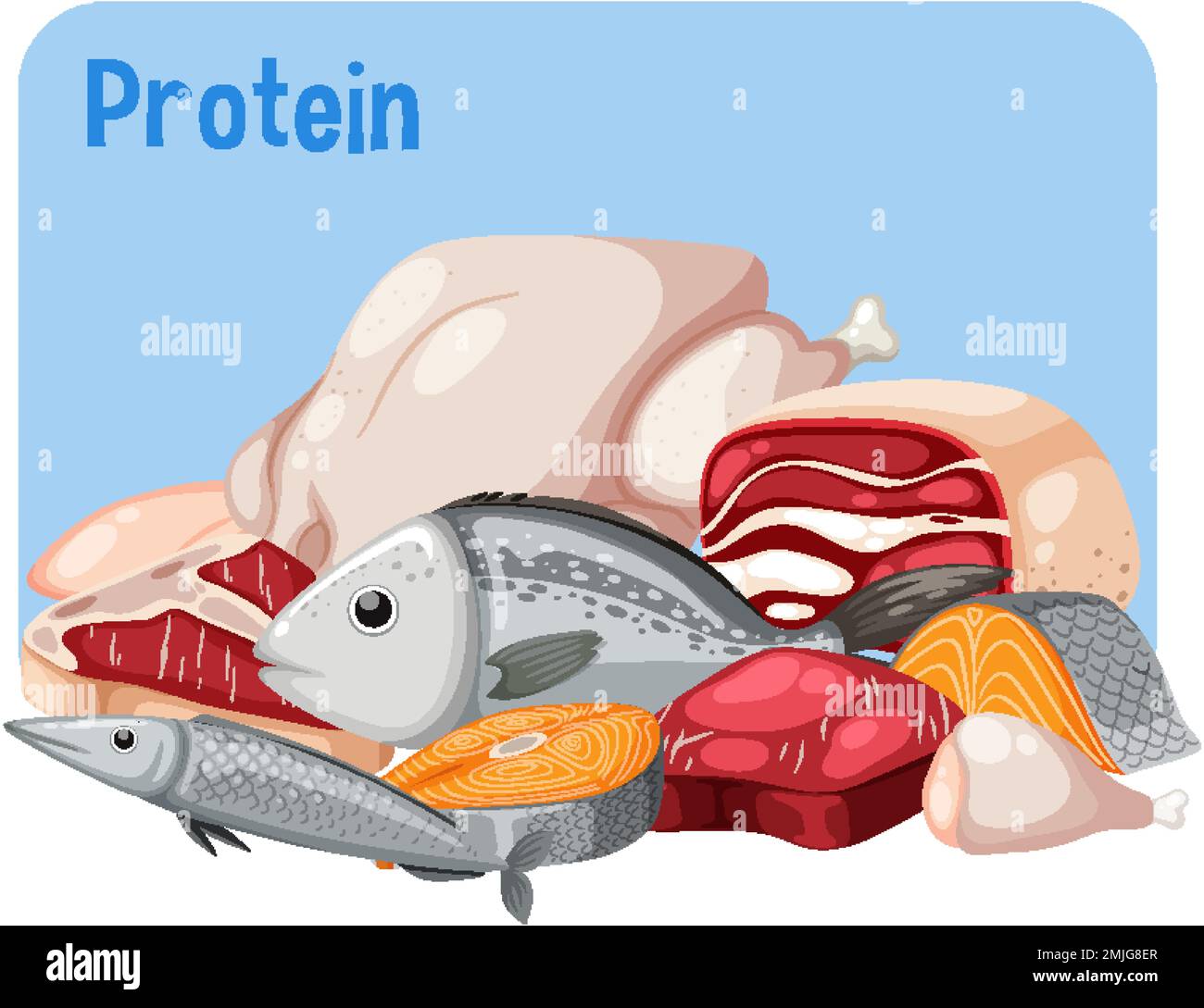 Variety of protein foods vector illustration Stock Vector Image & Art ...