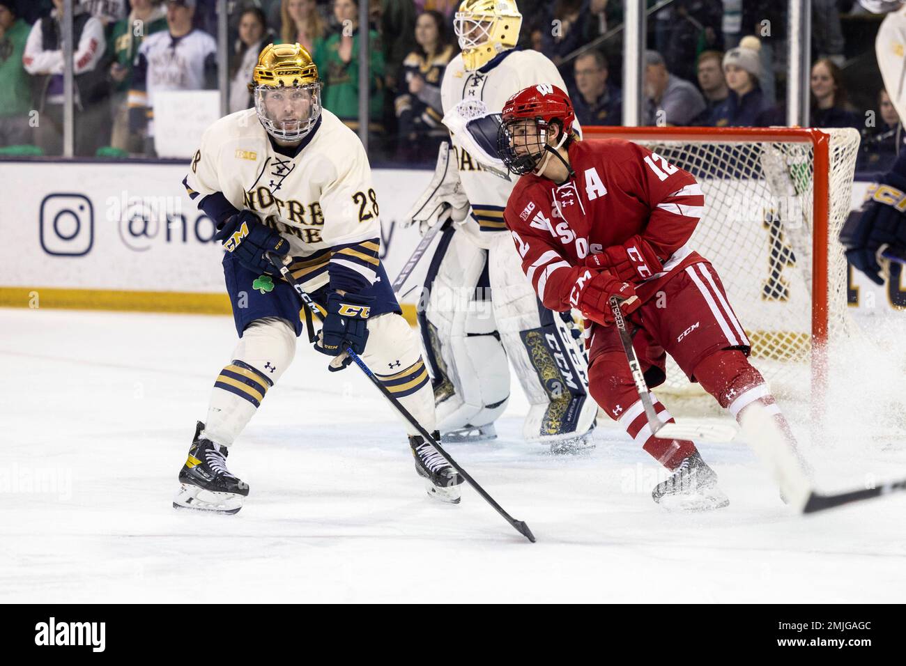 John tyler family hi-res stock photography and images - Alamy