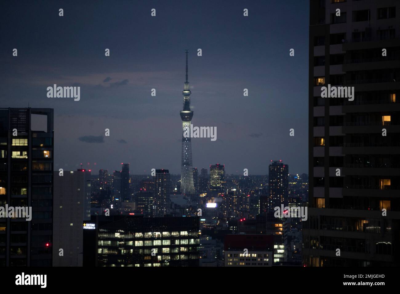 The Tokyo Skytree is seen from the observation deck of the World Trade ...