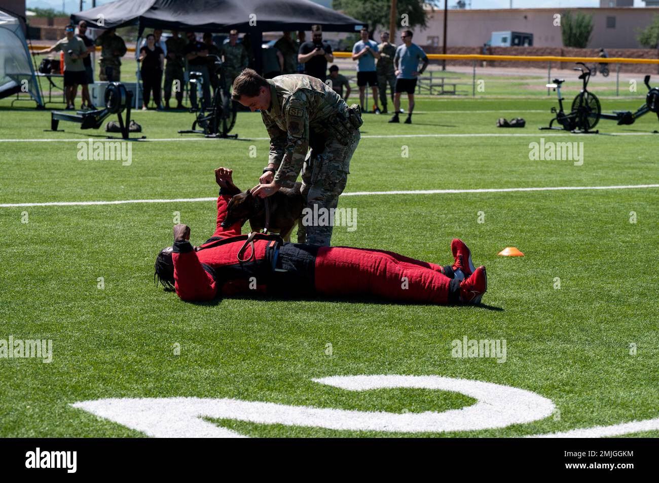 Jerry Roberts, University of Arizona Wildcats football team linebacker ...