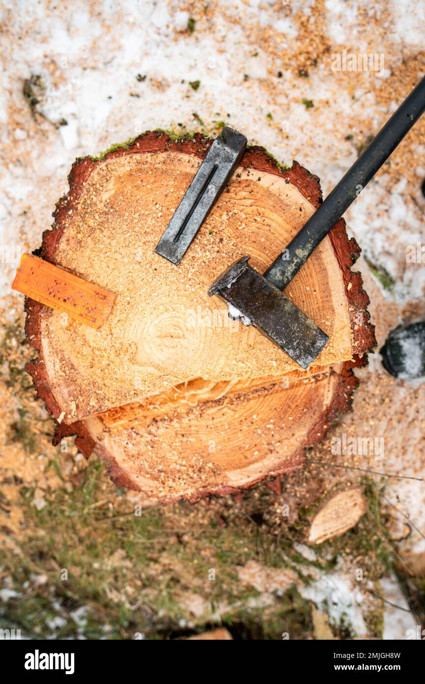 Wedges and a hammer lying on a stump of a felled tree Stock Photo - Alamy