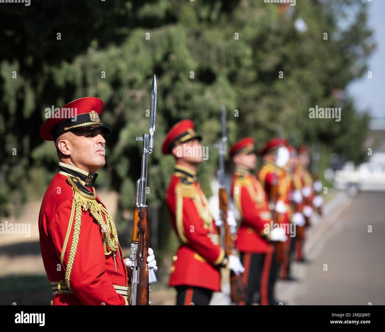 The Georgian Defense Force Honor Guard salutes during opening ...