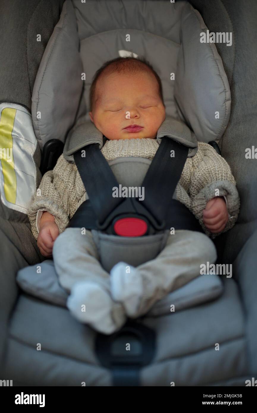 Portrait of newborn baby in baby stroller Stock Photo - Alamy