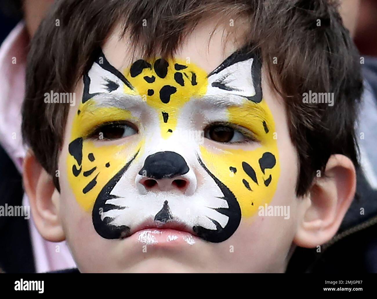 An Argentina Los Pumas fan looks on before the start of a rugby ...