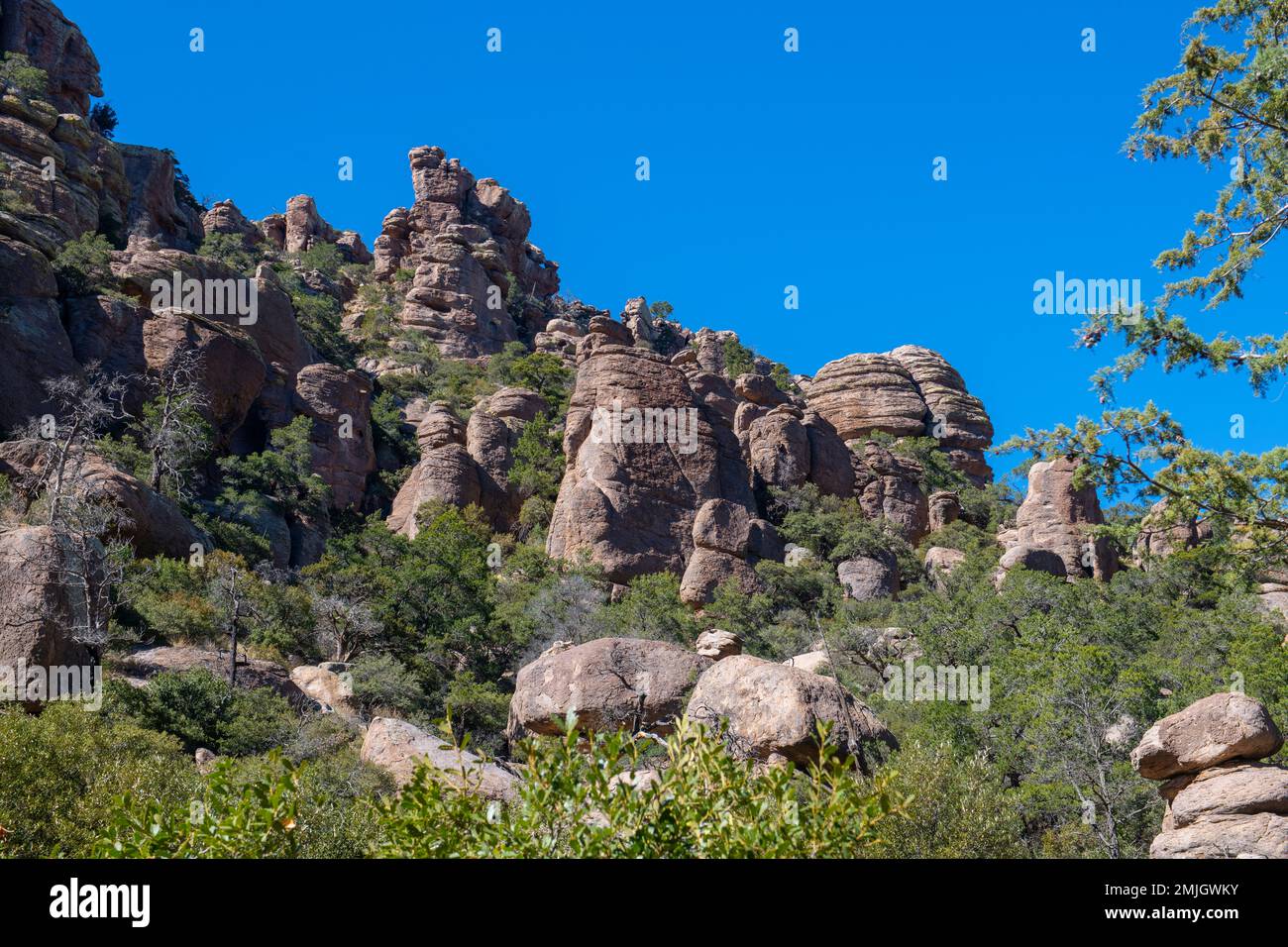 Stone columns aka hoodoos at Sea Captain Rock Formation in Chiricahua ...