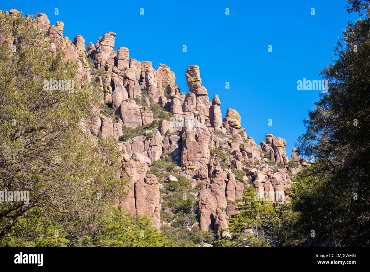 Stone columns aka hoodoos at Sea Captain Rock Formation in Chiricahua ...