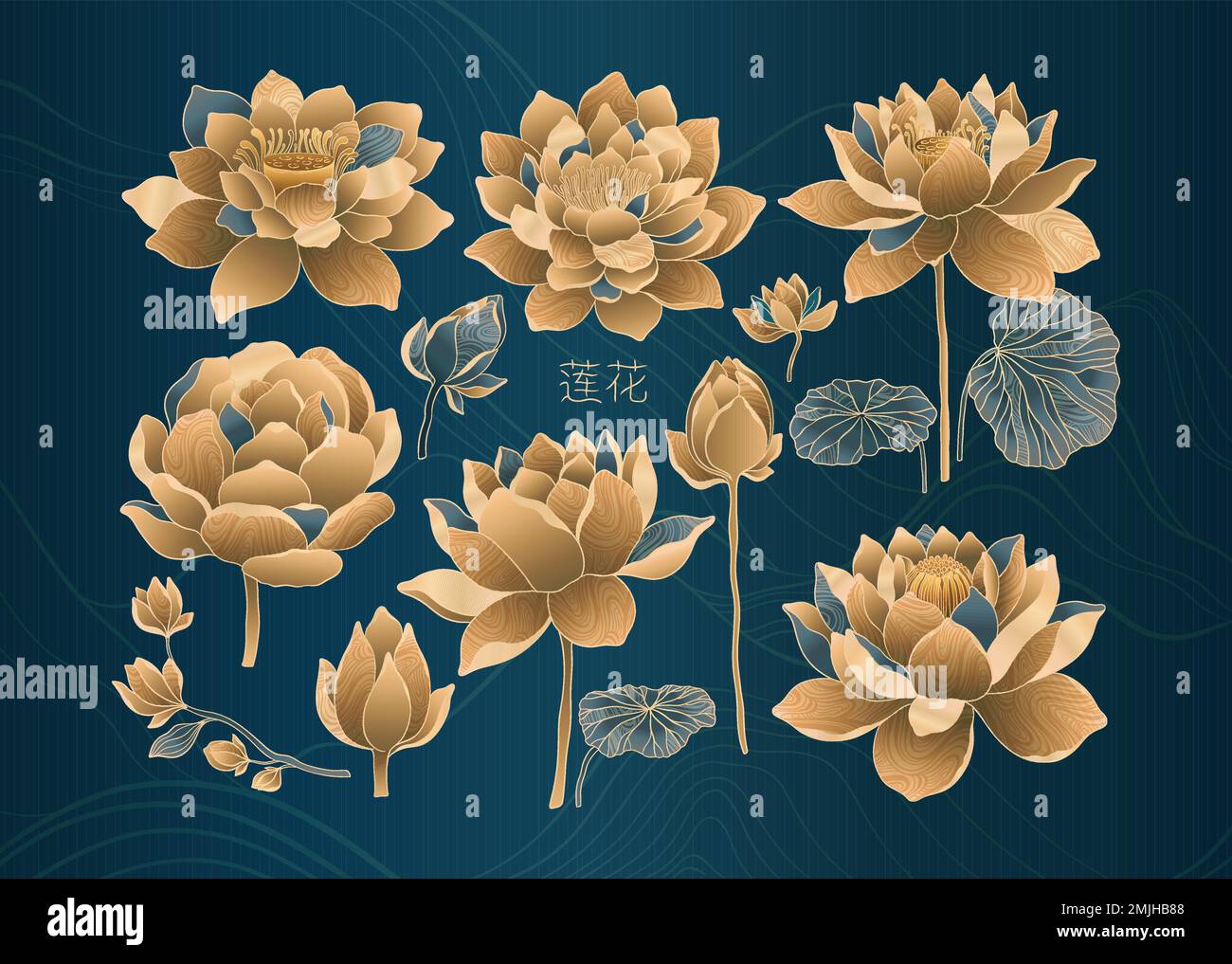 Lotus nelumbo nucifera bud Stock Vector Images - Alamy