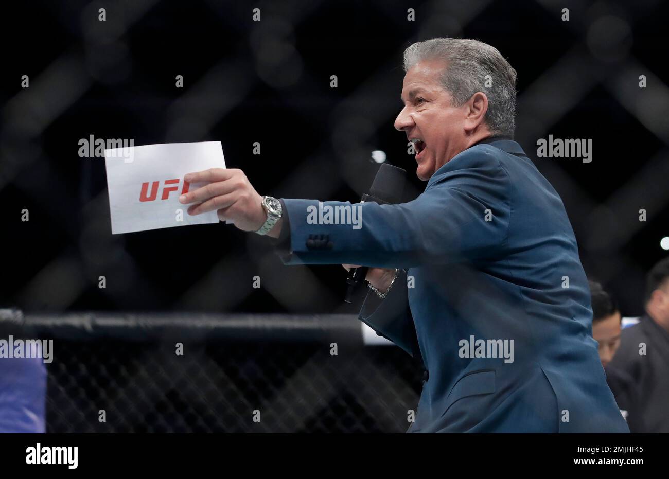 Ufc Fighting Announcers