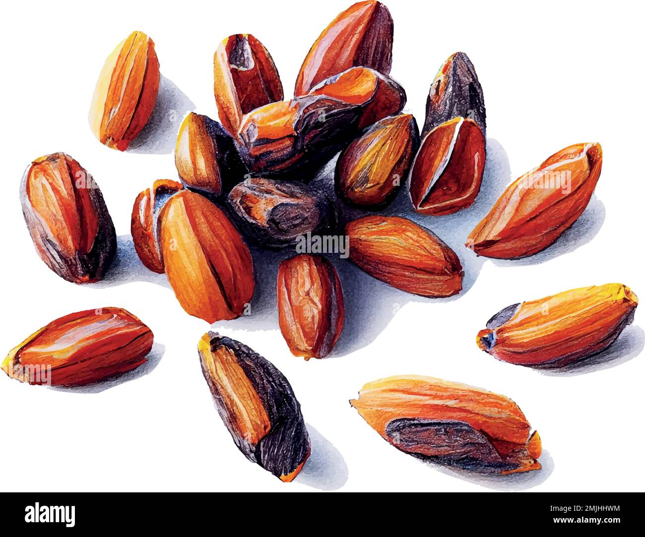 Ink drawn dates with leaves. Design with date palm leaves and ripe ...