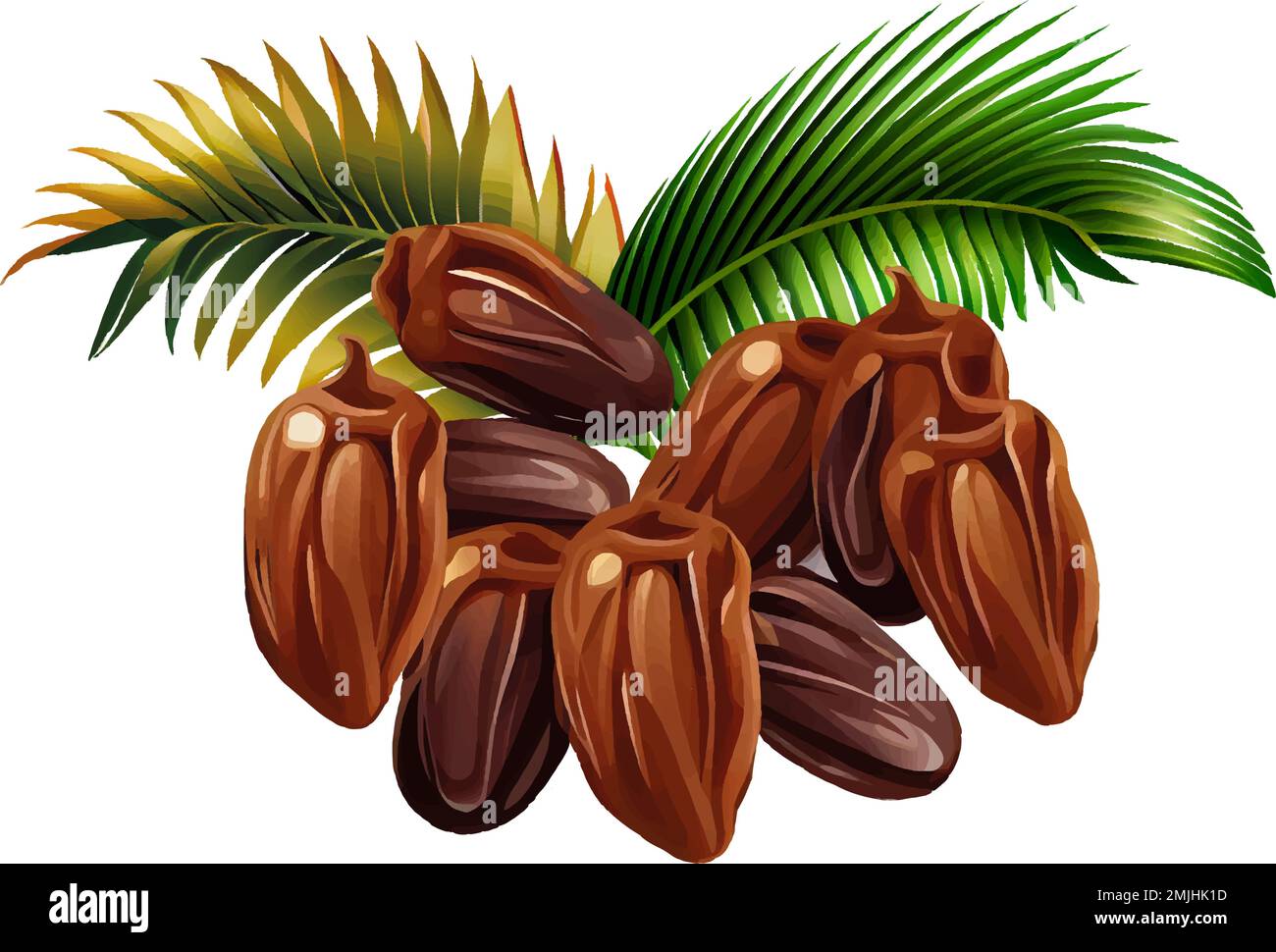 Ink drawn dates with leaves. Design with date palm leaves and ripe ...