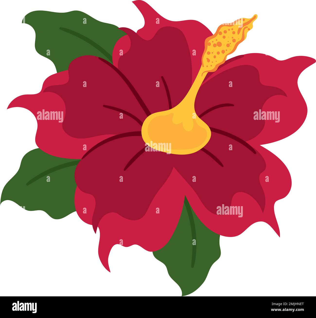 flower hibiscus and leaf Stock Vector Image & Art - Alamy