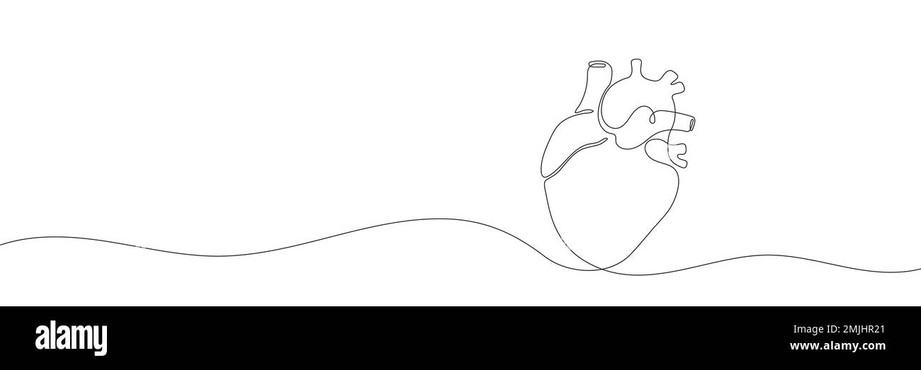Continuous line human heart silhouette on white background. Vector ...