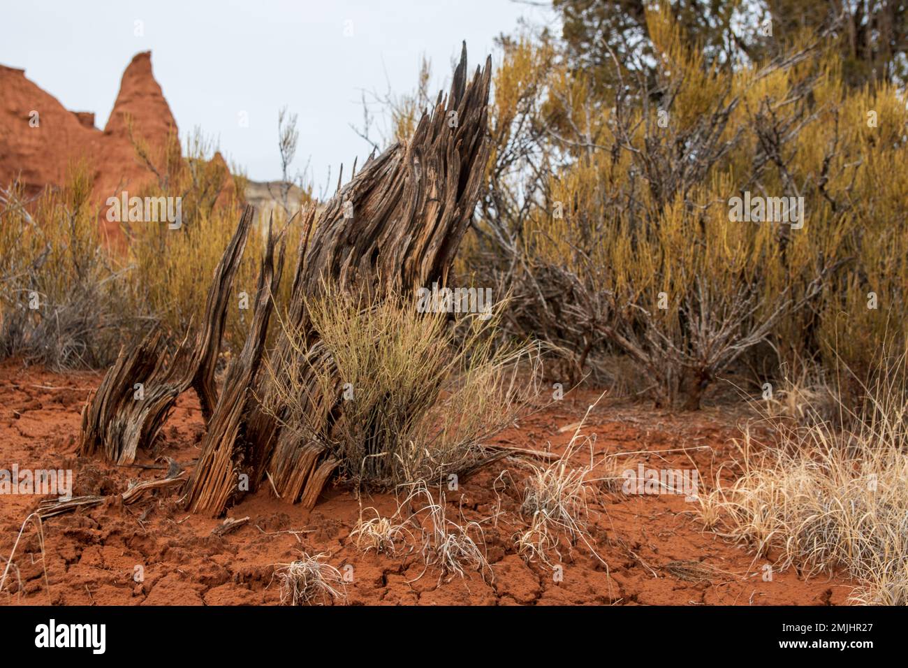Kodachrome Basin State Park in Utah is home to almost 70 natural rock ...