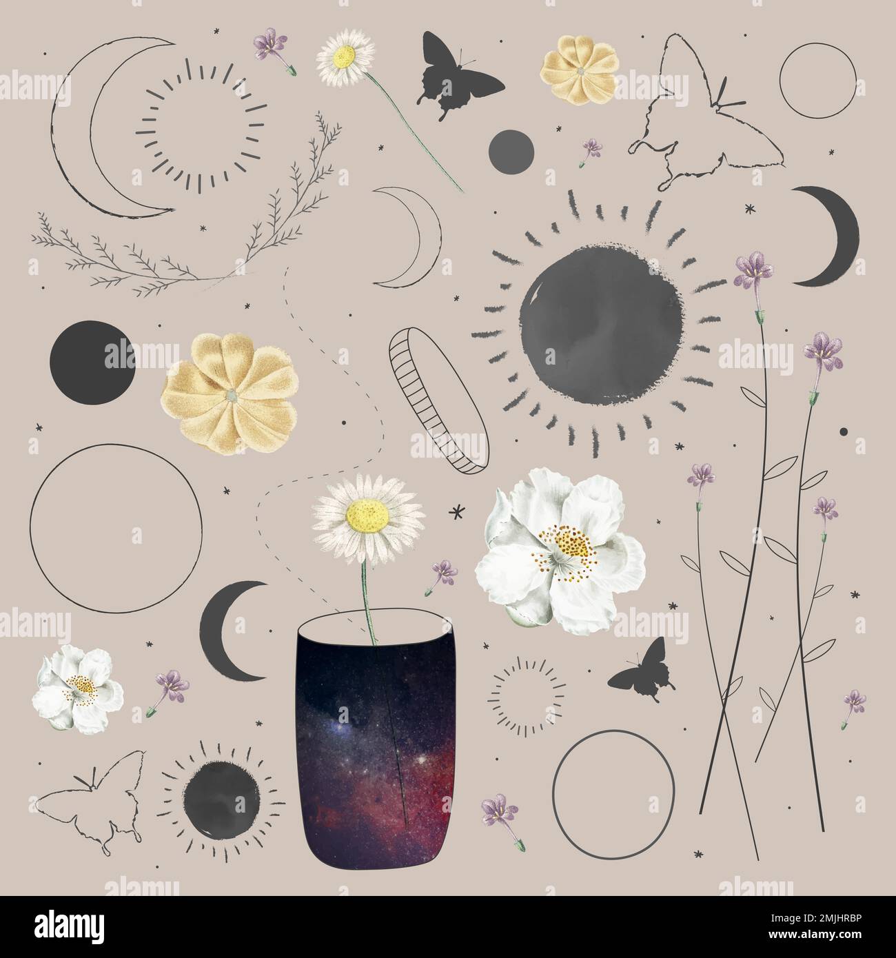 Floral and astronomical element collection design vector Stock Vector ...
