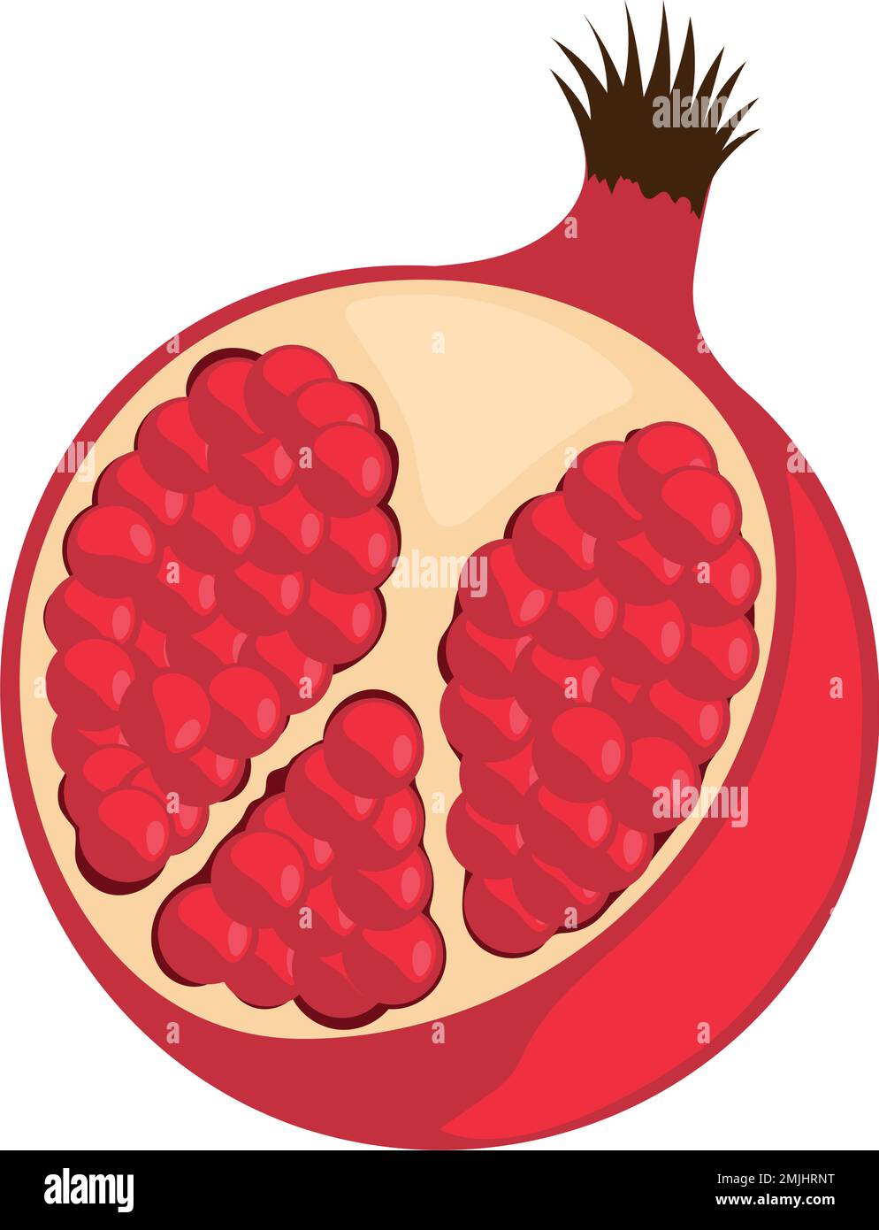 pomegranate fruit icon Stock Vector Image & Art - Alamy