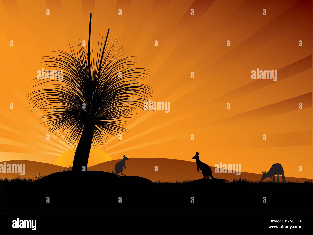 Silhouette of xanthorrhoea or black boy tree at sunset with sun rays ...
