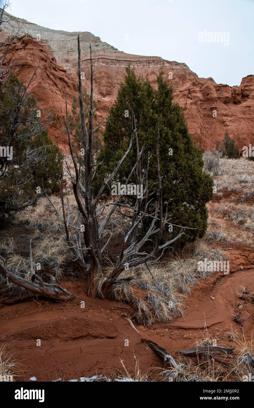 Kodachrome Basin State Park in Utah is home to almost 70 natural rock ...