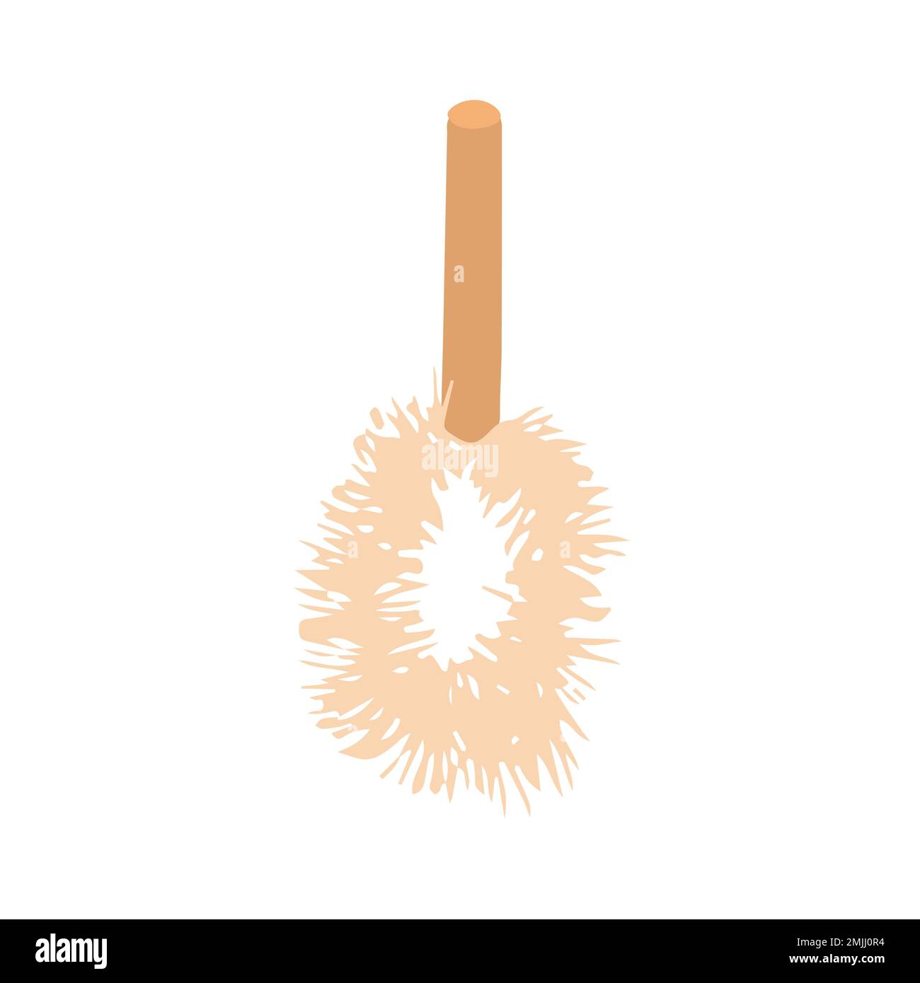 Kitchen eco friendly brush Cut Out Stock Images & Pictures - Alamy
