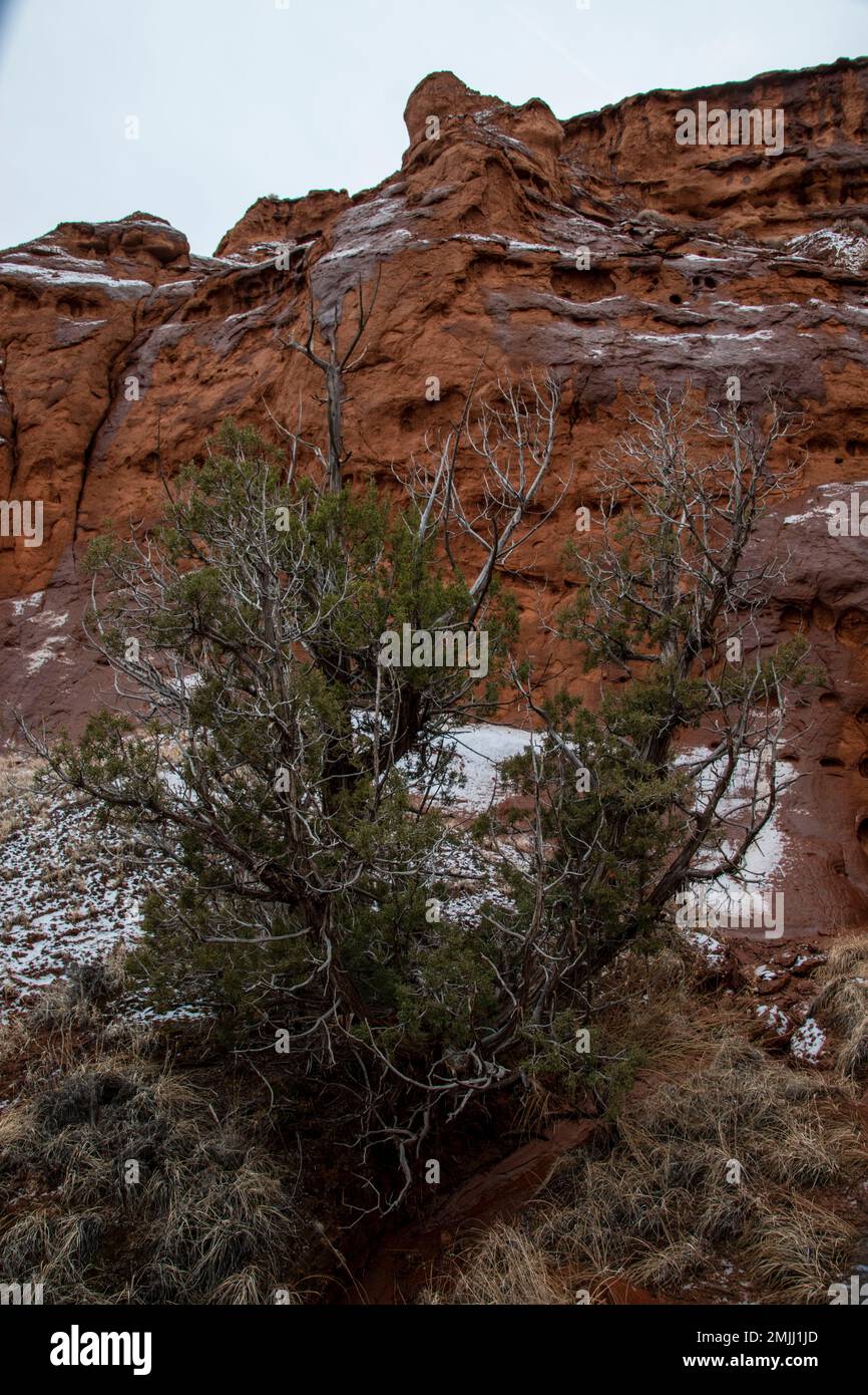 Kodachrome Basin State Park in Utah is home to almost 70 natural rock ...