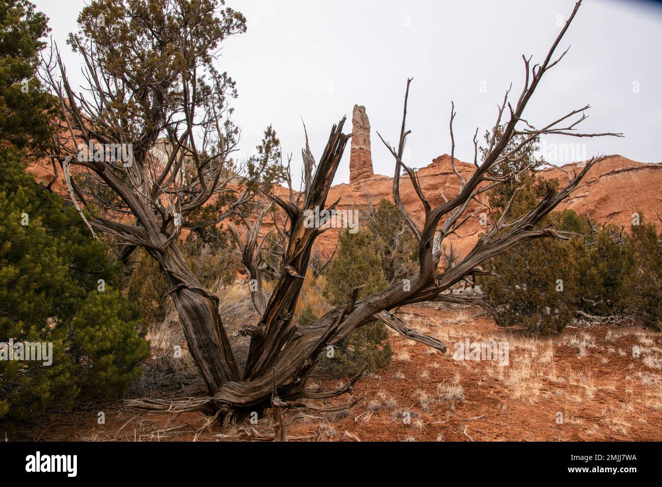 Kodachrome Basin State Park in Utah is home to almost 70 natural rock ...