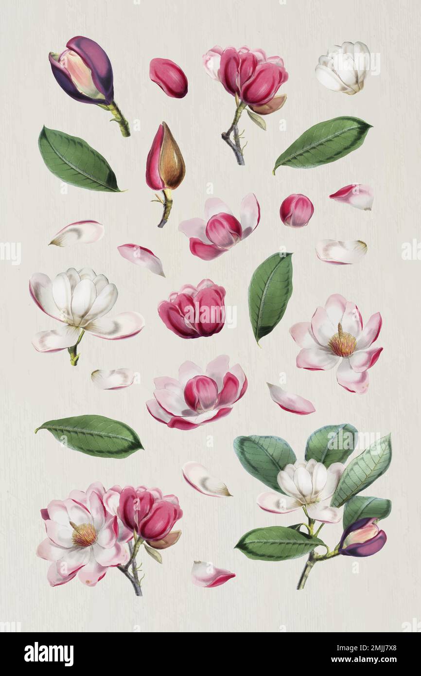 Elegant floral design collection vector Stock Vector Image & Art - Alamy