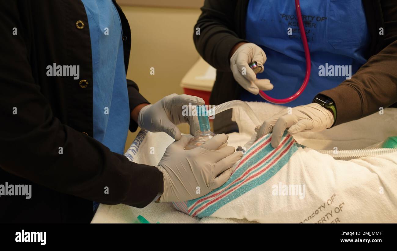 U.S. Air Force Capt. Aikeya Conner, 81st Medical Group labor and ...