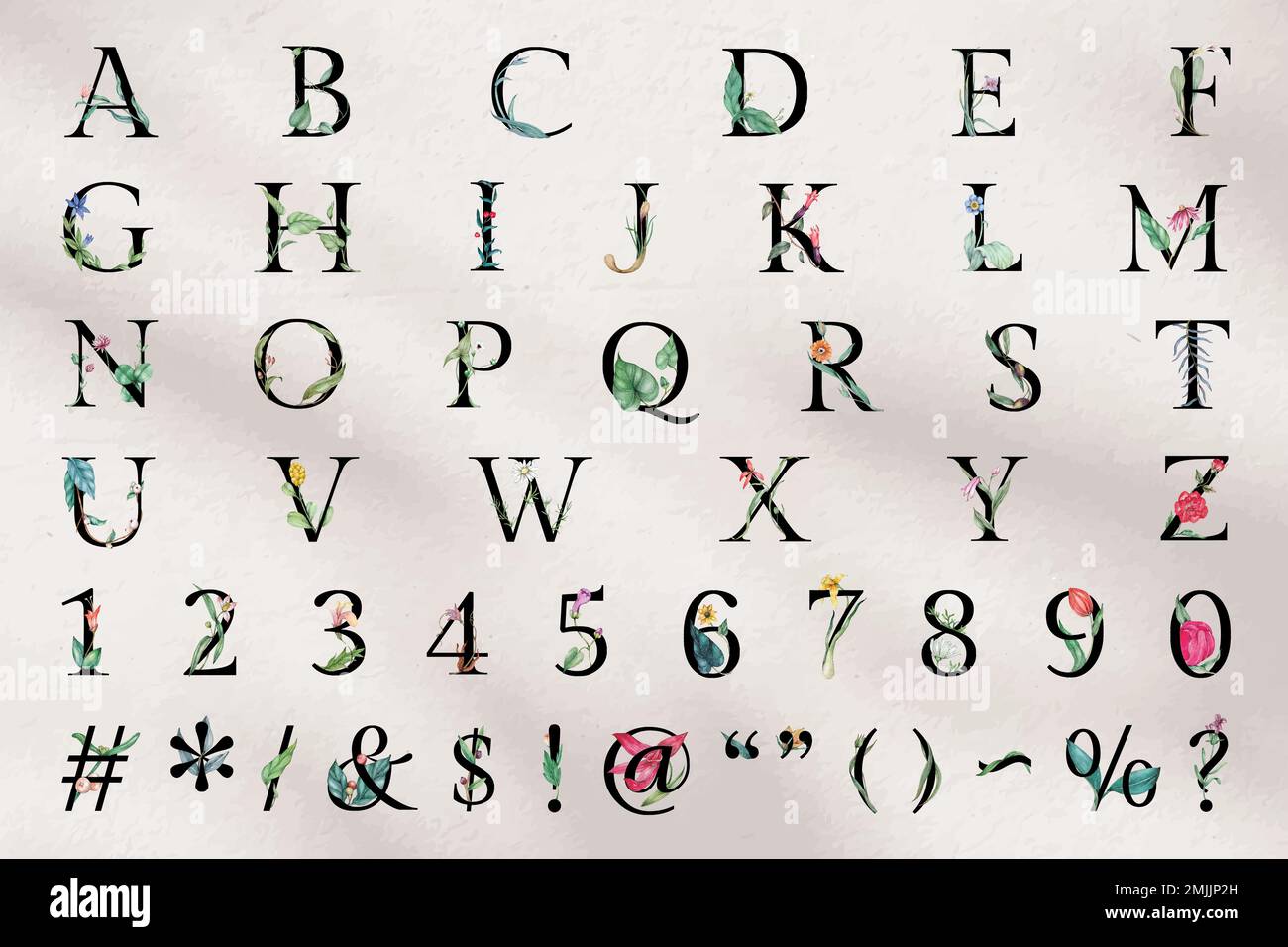 Vector alphabet sign number set floral typography Stock Vector Image ...