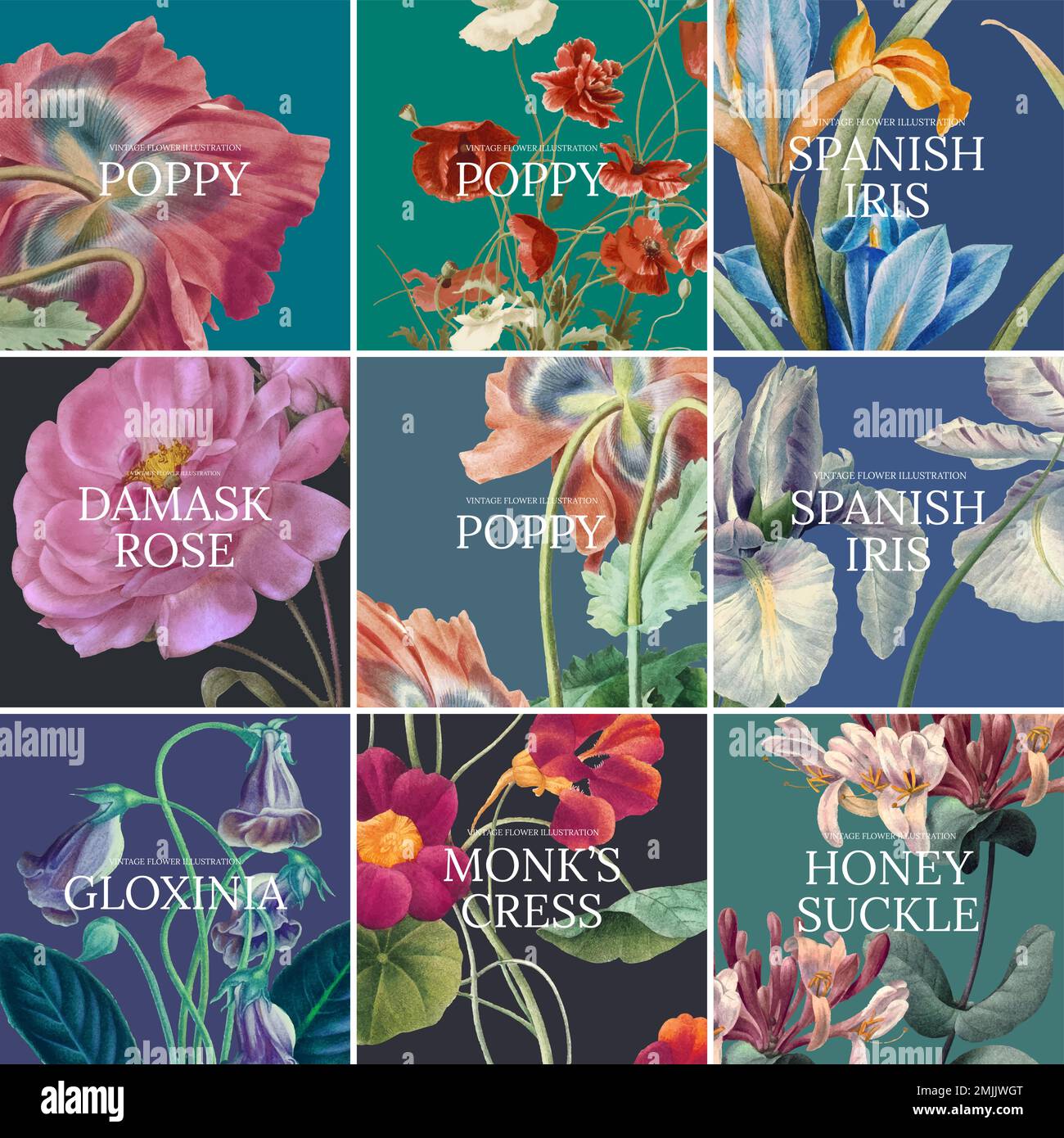 Vintage flower vector template set, remixed from public domain artworks ...