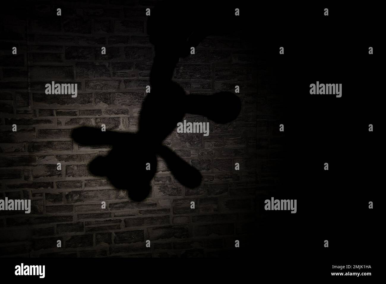 shadow of a teddy bear hanging on a wall lit by a lantern Stock Photo ...