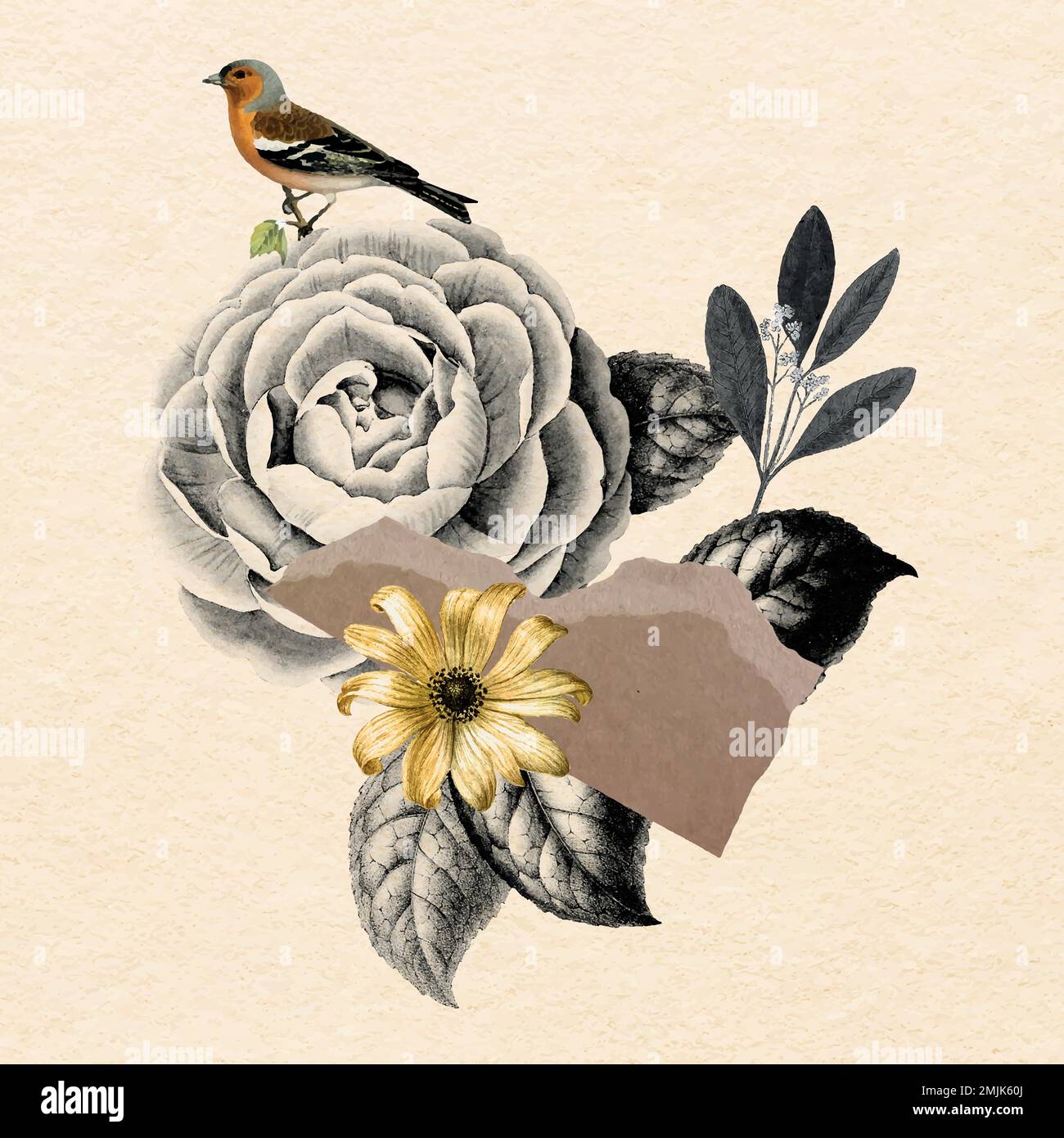 Collage vintage flower illustration vector, mixed media art Stock ...