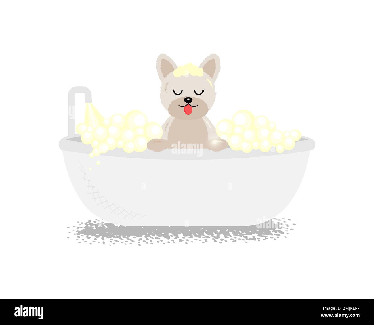 Beautiful portrait of dog in bath on white background for grooming ...