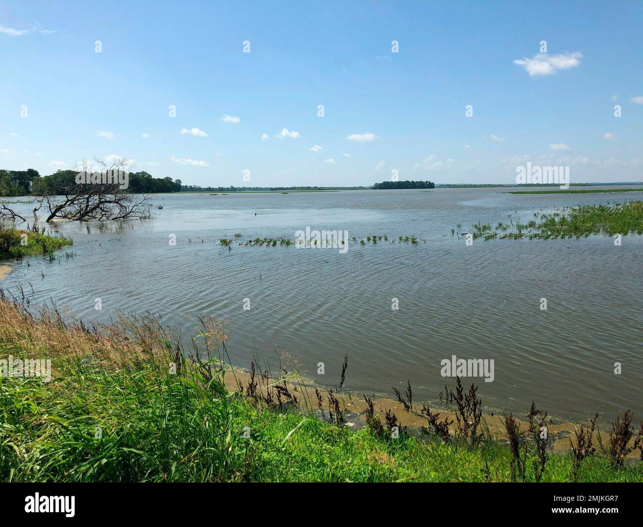 Floodwaters inundate a farm on Tuesday, July 2, 2019 in Ripley, Tenn ...