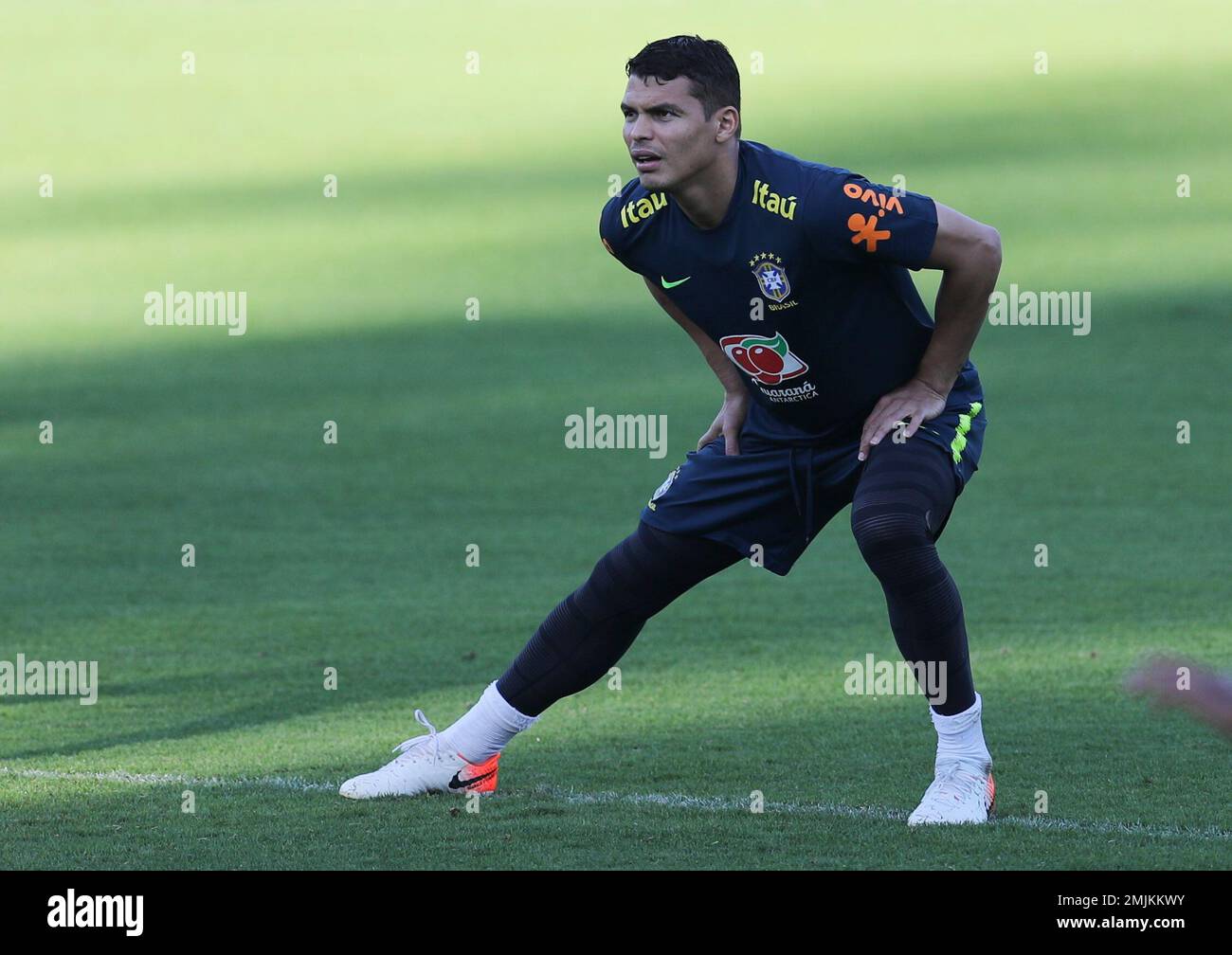 Thiago Silva stretches during a training session of Brazil national ...