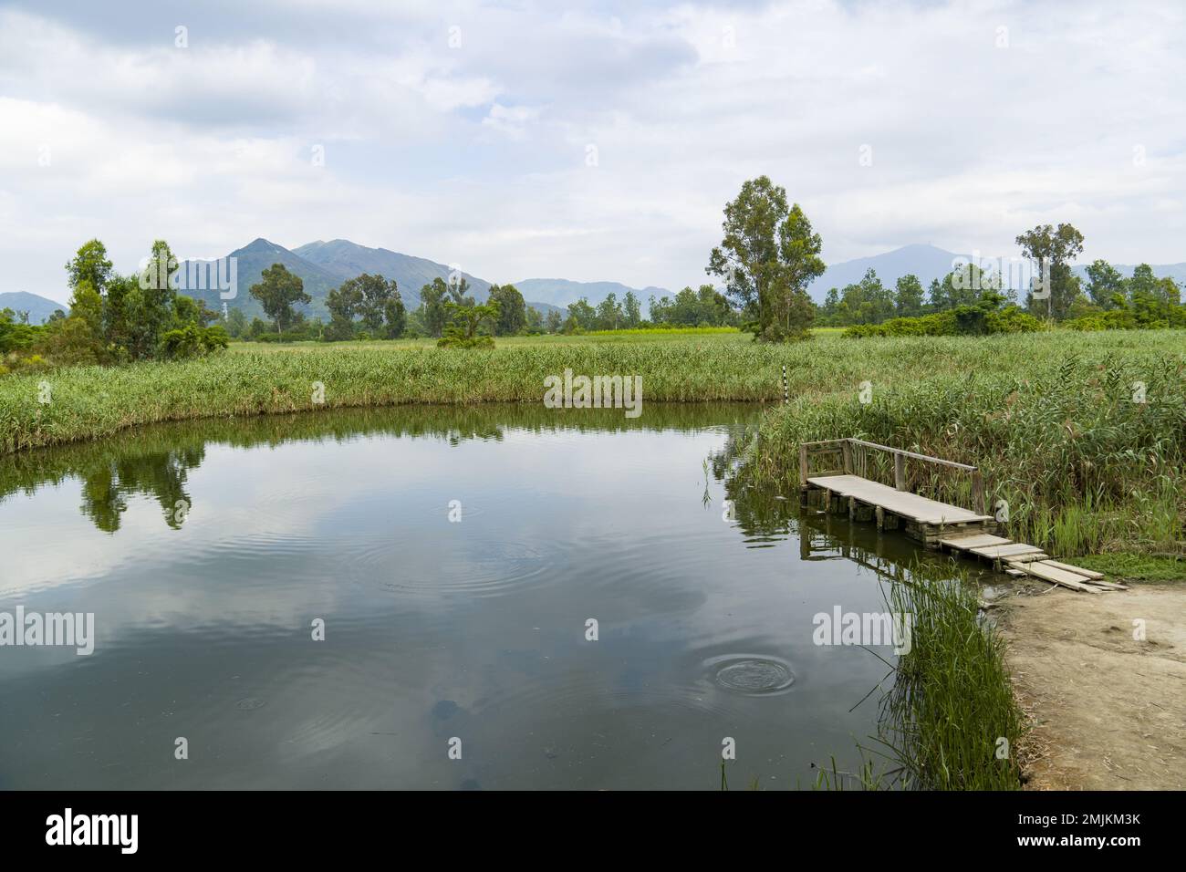 The Wedding Bridge, or Bridal bridge, in Nam Sang Wai, San Tin, New ...