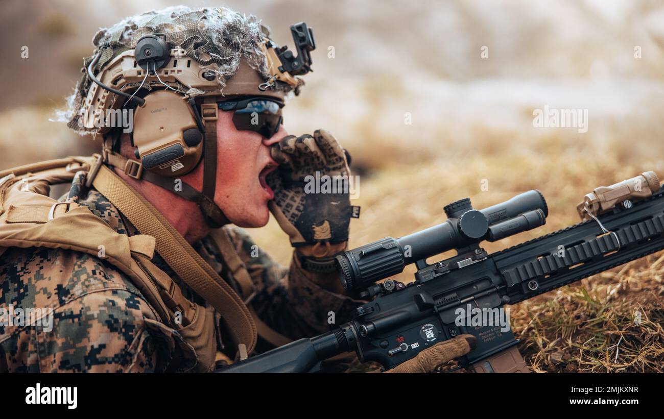 A U.S. Marine with 3d Littoral Combat Team, 3d Marine Littoral Regiment ...