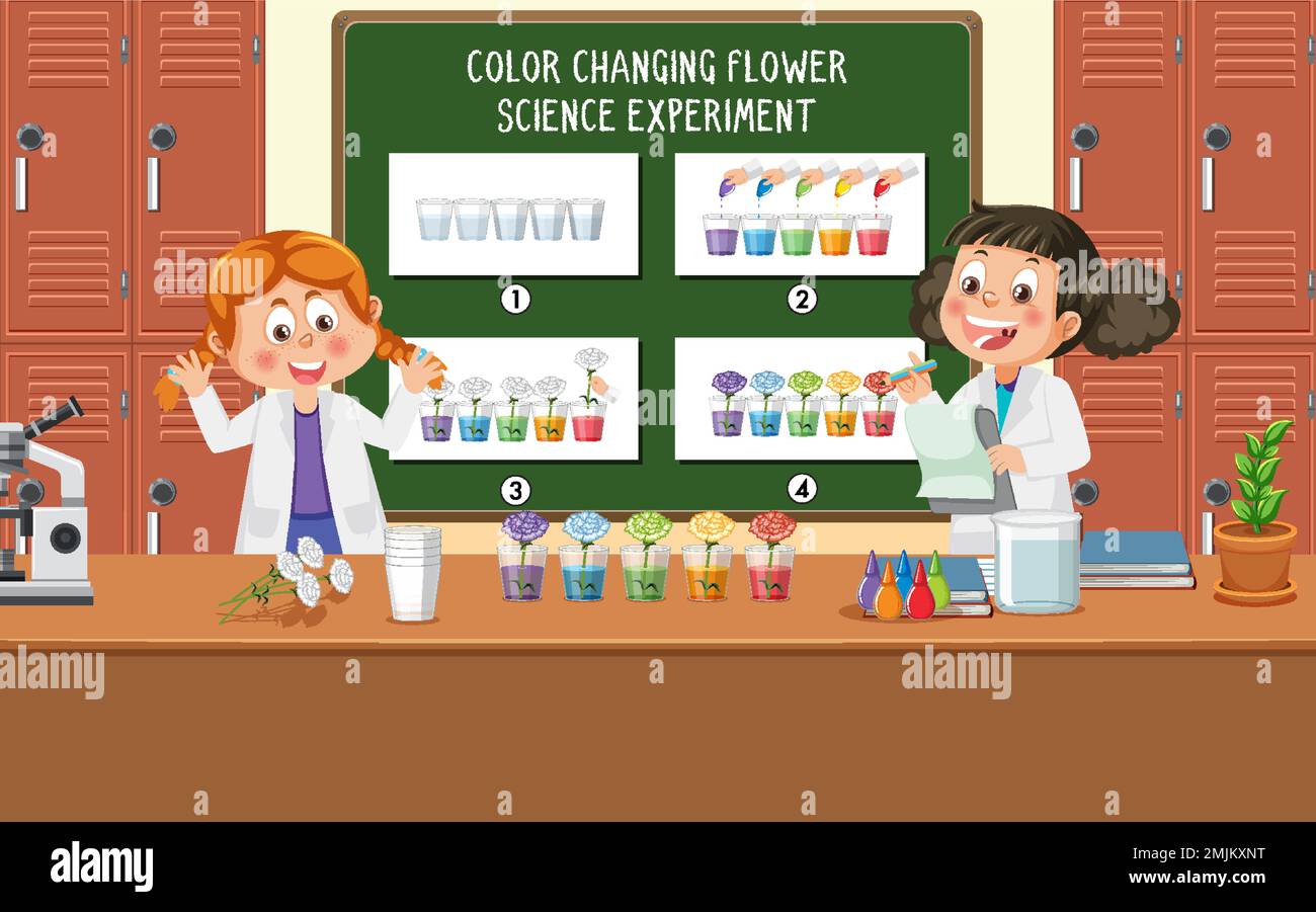 Color changing flowers science experiment illustration Stock Vector ...