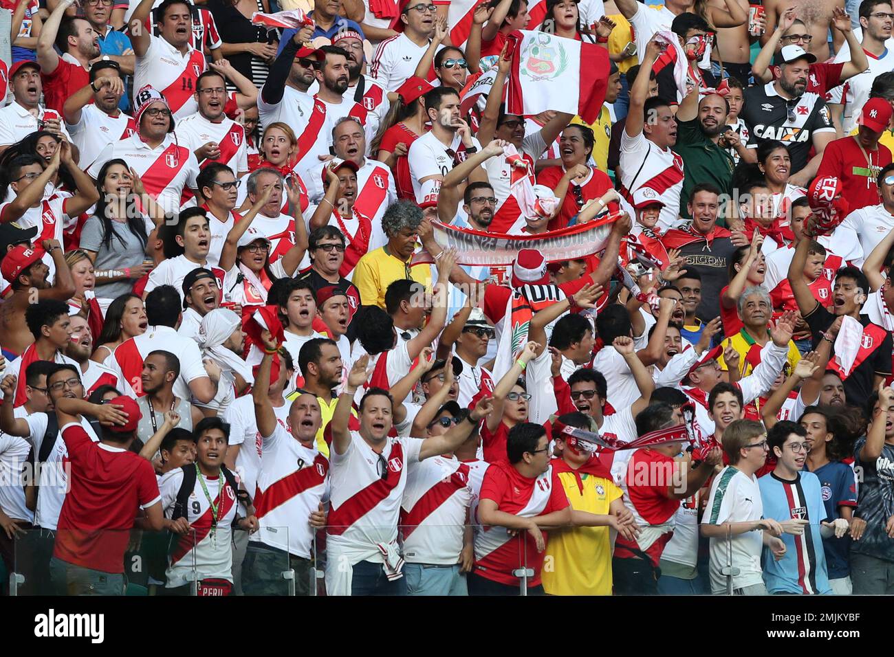 Peru's fans cheer for their team during a Copa America quarterfinal ...