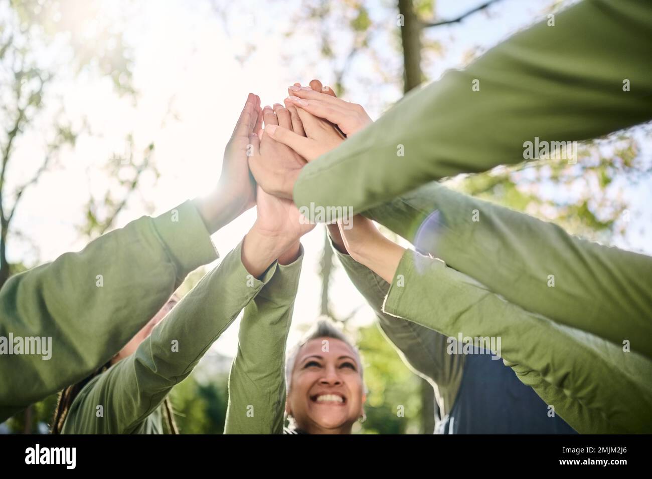 High five, outdoor and hands from team building at a wellness retreat ...